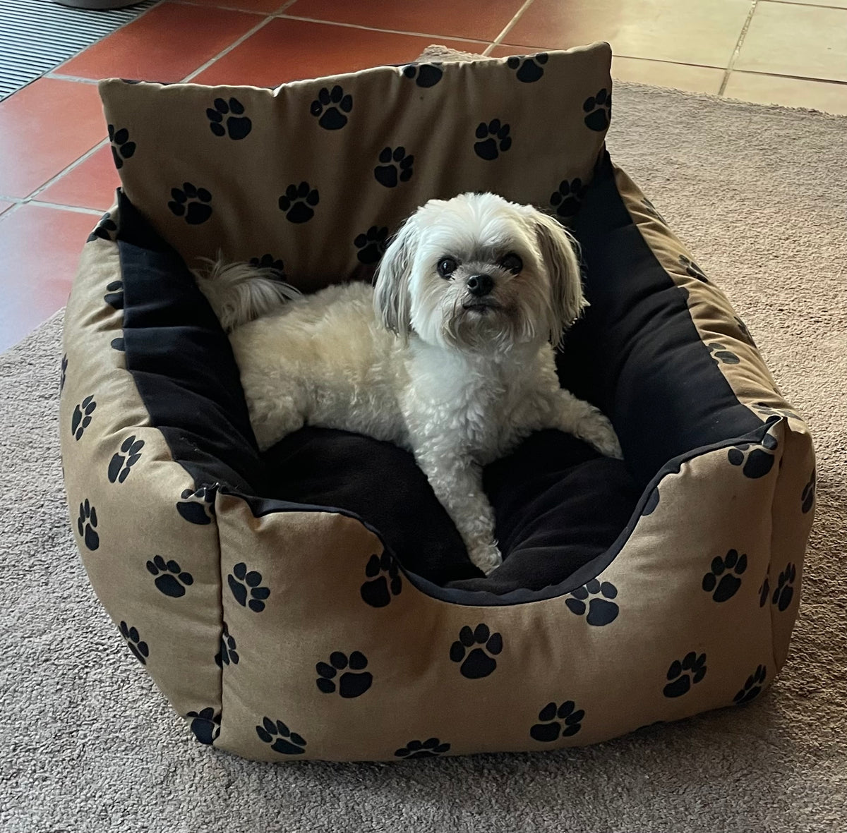 Autositz – Sissys-Hundelounge